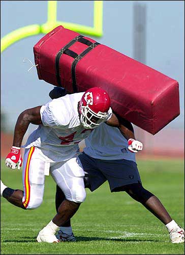 Adoption creates confusion for rookie Fujita | News, Sports, Jobs ...